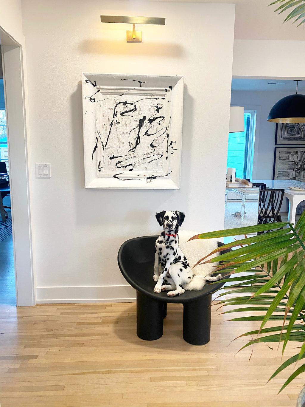 "Luxury Living: Designing Dog-Friendly Spaces with Elegance ...